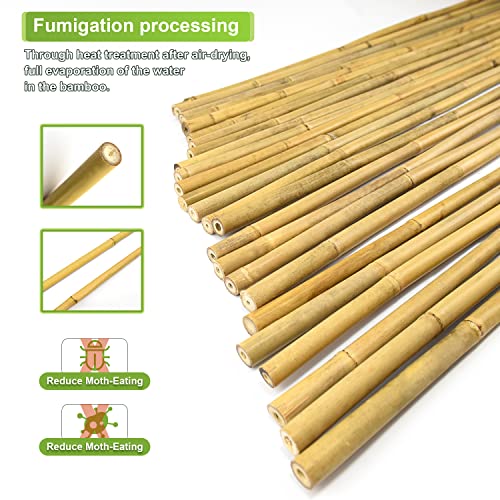 Jollybower 20pcs 5/8" D Thicker Heavy Duty Bamboo Stakes, 6FT Plant Stakes, Natural Garden Stakes for Tomato, Bean, Flowers,Trees Potted and Climbing Plant Support