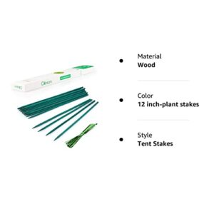 Garsum Green Bamboo Sticks Garden Wood Plant Stakes,Floral Plant Support Wooden,Wooden Sign Posting Garden Sticks,12 Inches 25 Pack