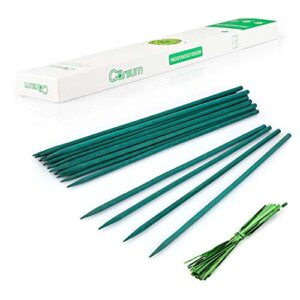 garsum green bamboo sticks garden wood plant stakes,floral plant support wooden,wooden sign posting garden sticks,12 inches 25 pack