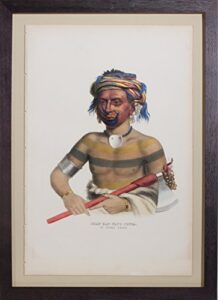 shau-hau-napu-tinia, an ioway chief