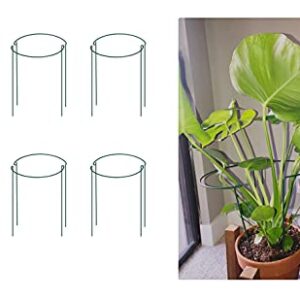 MTB Garden Plant Support Stake, 12-Pack Metal Half Round Tall Plant Support Ring Hoop, 9.5-in Wide x 15.8-in High Plant Cage for Tomato,Peony,Vegetable and Flowers Vine