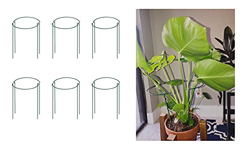 MTB Garden Plant Support Stake, 12-Pack Metal Half Round Tall Plant Support Ring Hoop, 9.5-in Wide x 15.8-in High Plant Cage for Tomato,Peony,Vegetable and Flowers Vine