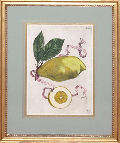 Plate 225: Limon Imperialis