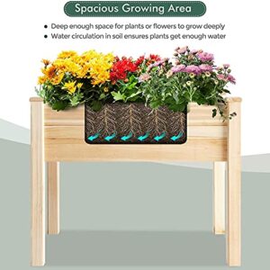 BACKYARD EXPRESSIONS PATIO · HOME · GARDEN 906533 Elevated Gardening Bed with Green House Cover-36L x24W x 66H-Backyard Expressions, Natural Wood