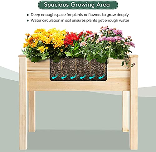 BACKYARD EXPRESSIONS PATIO · HOME · GARDEN 906533 Elevated Gardening Bed with Green House Cover-36L x24W x 66H-Backyard Expressions, Natural Wood