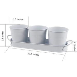 Herb Garden Planter Set – 3-Pcs Set Galvanized Metal Herb Planters for Indoors Plants with Tray – Indoor Plant Pots for Apartment Window, Balcony, Garden – Potting Pots for Herbs and Flowers