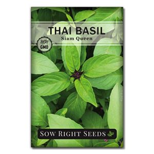 sow right seeds – sweet large leaf thai basil seed for planting; non-gmo heirloom seeds; instructions to plant and grow a kitchen herb garden, indoors or outdoor; great gardening gift