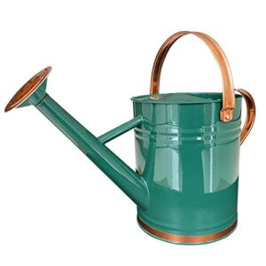 metal watering can for outdoor and indoor plants, watering can decor, 1 gallon (1 gallon green2)