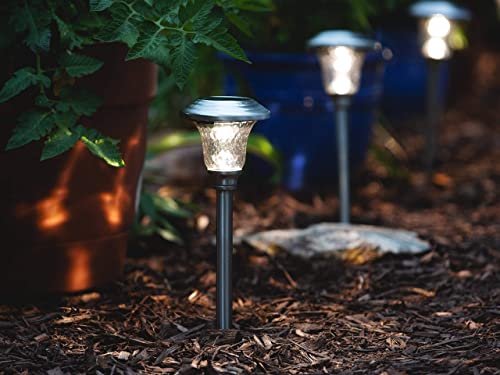 Signature Garden Solar Garden Lights - Auto On/Off Outdoor Bright Solar Pathway Lights - All-Weather/Waterproof Outdoor Solar Lights for Yard, Garden, or Driveway (8-Pack, Stainless Steel Silver)