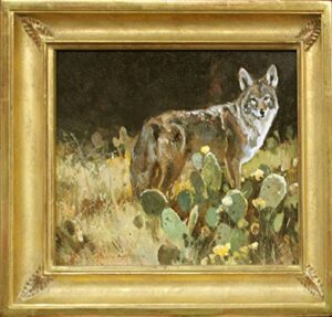 coyote in prickly pear