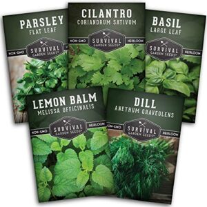 survival garden seeds herb collection seed vault – italian parsley, cilantro, basil, lemon balm, dill – non-gmo heirloom survival garden seeds for planting – grow herbs indoors & outdoors year round