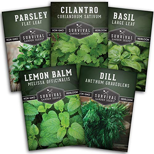 Survival Garden Seeds Herb Collection Seed Vault - Italian Parsley, Cilantro, Basil, Lemon Balm, Dill - Non-GMO Heirloom Survival Garden Seeds for Planting - Grow Herbs Indoors & Outdoors Year Round