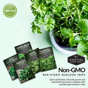 Survival Garden Seeds Herb Collection Seed Vault - Italian Parsley, Cilantro, Basil, Lemon Balm, Dill - Non-GMO Heirloom Survival Garden Seeds for Planting - Grow Herbs Indoors & Outdoors Year Round