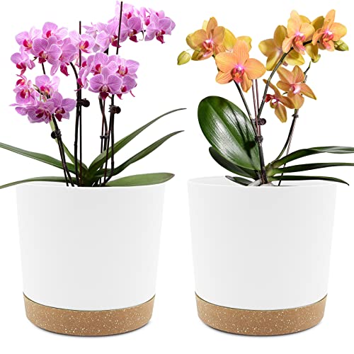 QCQHDU Plant Pots Set of 2 Pack 8 inch,Planters for Indoor Plants with Drainage Holes and Removable Base,Saucer Modern Decorative for Outdoor Garden Planters(White 8in)