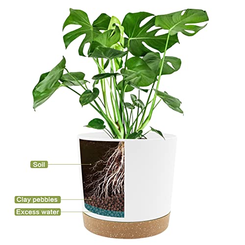 QCQHDU Plant Pots Set of 2 Pack 8 inch,Planters for Indoor Plants with Drainage Holes and Removable Base,Saucer Modern Decorative for Outdoor Garden Planters(White 8in)