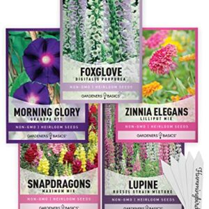 Hummingbird Seeds for Planting Outdoors Flower Seeds (5 Variety Pack) Zinnia, Foxglove, Lupine, Morning Glory, Snapdragons Varieties for Bees, Pollinators Wildflower Seed by Gardeners Basics