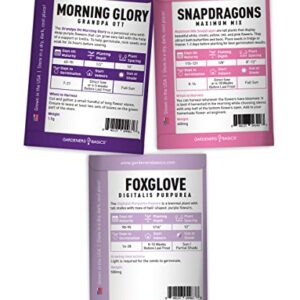 Hummingbird Seeds for Planting Outdoors Flower Seeds (5 Variety Pack) Zinnia, Foxglove, Lupine, Morning Glory, Snapdragons Varieties for Bees, Pollinators Wildflower Seed by Gardeners Basics