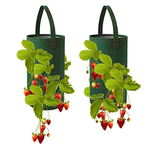 Pri Gardens Hanging Strawberry Planter for Strawberry Bare Root Plants (Roots not Included) Felt Material 2 Pack