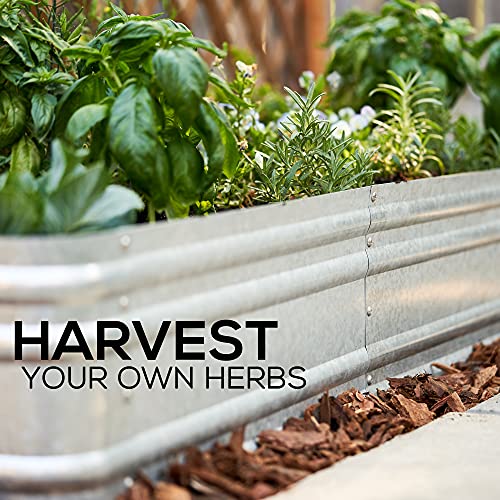 KIBAGA Premium Raised Garden Bed for Outdoors - Sturdy and Easy to Assemble Galvanized Steel Planter Box - Versatile Metal Planter is Perfect to Grow Your Beautiful Herbs, Vegetables and Flowers