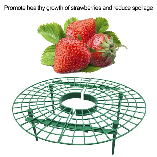 Iceyyyy 5 Packs Strawberry Supports - Strawberry Plant Support Strawberry Growing Racks Strawberry Growing Frame