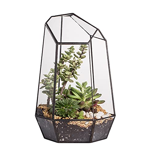 NCYP Geometric Glass Terrarium Planter for Air Plants Succulents (6.5x5.7x9.8Inches) Indoor Irregular Opened Glass Flower Pot, Home Garden Office Tabletop Decoration Container (No Plants, No Door)