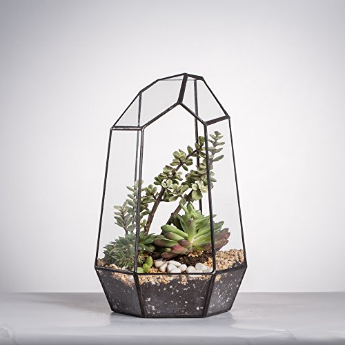 NCYP Geometric Glass Terrarium Planter for Air Plants Succulents (6.5x5.7x9.8Inches) Indoor Irregular Opened Glass Flower Pot, Home Garden Office Tabletop Decoration Container (No Plants, No Door)