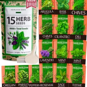 15 Culinary Herb Seeds Vault - Heirloom & Non GMO (2X More) 4900+ Seeds for Planting Indoor or Outdoor Herbs Garden | Gardening Gift for Men Women - Basil, Cilantro, Chives, Lavender, Mint, Thyme