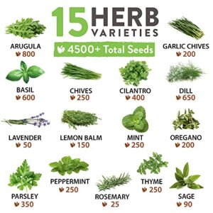 15 Culinary Herb Seeds Vault - Heirloom & Non GMO (2X More) 4900+ Seeds for Planting Indoor or Outdoor Herbs Garden | Gardening Gift for Men Women - Basil, Cilantro, Chives, Lavender, Mint, Thyme