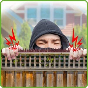 DE-BIRD: Defender Spikes, Cat and Bird Deterrent - Outdoor Pest Defender to Keep Off Pigeon, Squirrel, Woodpecker & More. Plastic Deterrent Anti Theft Climb Strips - 20pk [20 Foot]