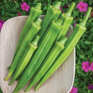 Burpee Baby Bubba Okra Seeds 60 seeds