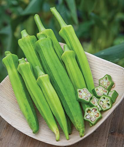 Burpee Baby Bubba Okra Seeds 60 seeds