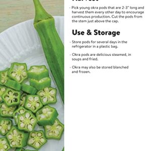 Burpee Baby Bubba Okra Seeds 60 seeds