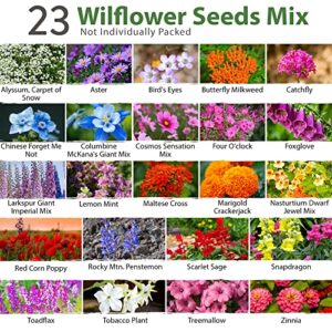 130,000+ Wildflower Seeds - Premium Birds & Butterflies Wildflower Seed Mix [3 Oz] Flower Garden Seeds - Bulk Wild Flowers: 23 Wildflowers Varieties of 100% Non-GMO Annual Flower Seeds for Planting