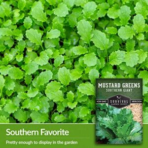 Survival Garden Seeds - Southern Giant Mustard Greens Seed for Planting - Packet with Instructions to Grow Spicy Brassica Juncea Leaves in Your Home Vegetable Garden - Non-GMO Heirloom Variety