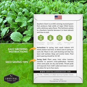 Survival Garden Seeds - Southern Giant Mustard Greens Seed for Planting - Packet with Instructions to Grow Spicy Brassica Juncea Leaves in Your Home Vegetable Garden - Non-GMO Heirloom Variety