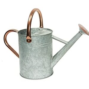 Metal Watering Can, One Gallon Watering Cans Stainless Steel Handle for Outdoor Indoor Garden Plants Watering (1 Gallon Silvers)