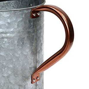 Metal Watering Can, One Gallon Watering Cans Stainless Steel Handle for Outdoor Indoor Garden Plants Watering (1 Gallon Silvers)