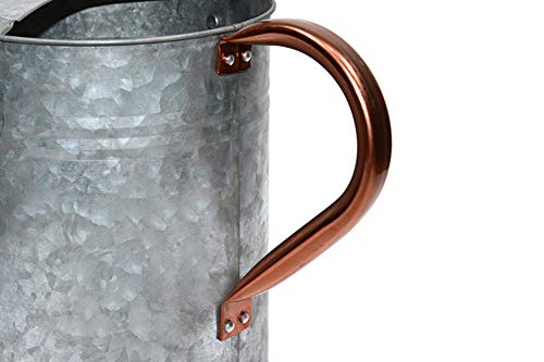 Metal Watering Can, One Gallon Watering Cans Stainless Steel Handle for Outdoor Indoor Garden Plants Watering (1 Gallon Silvers)