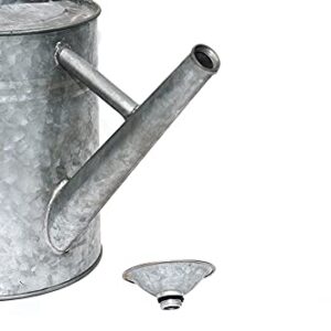 Metal Watering Can, One Gallon Watering Cans Stainless Steel Handle for Outdoor Indoor Garden Plants Watering (1 Gallon Silvers)