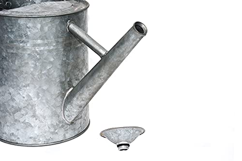 Metal Watering Can, One Gallon Watering Cans Stainless Steel Handle for Outdoor Indoor Garden Plants Watering (1 Gallon Silvers)