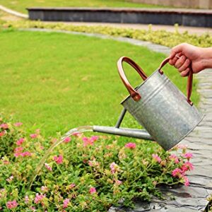 Metal Watering Can, One Gallon Watering Cans Stainless Steel Handle for Outdoor Indoor Garden Plants Watering (1 Gallon Silvers)