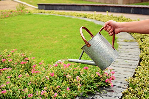 Metal Watering Can, One Gallon Watering Cans Stainless Steel Handle for Outdoor Indoor Garden Plants Watering (1 Gallon Silvers)