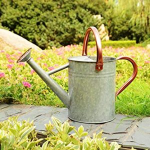 Metal Watering Can, One Gallon Watering Cans Stainless Steel Handle for Outdoor Indoor Garden Plants Watering (1 Gallon Silvers)