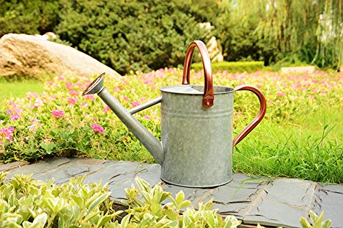 Metal Watering Can, One Gallon Watering Cans Stainless Steel Handle for Outdoor Indoor Garden Plants Watering (1 Gallon Silvers)