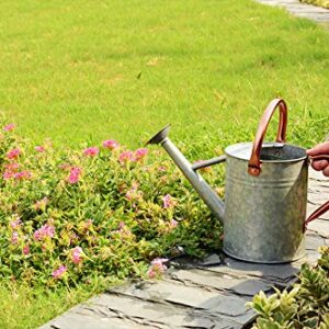 Metal Watering Can, One Gallon Watering Cans Stainless Steel Handle for Outdoor Indoor Garden Plants Watering (1 Gallon Silvers)