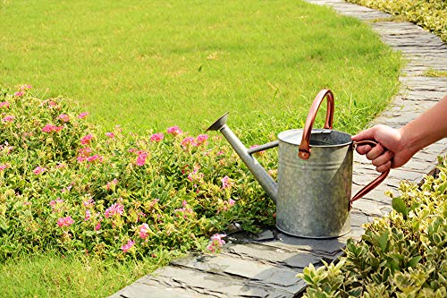 Metal Watering Can, One Gallon Watering Cans Stainless Steel Handle for Outdoor Indoor Garden Plants Watering (1 Gallon Silvers)