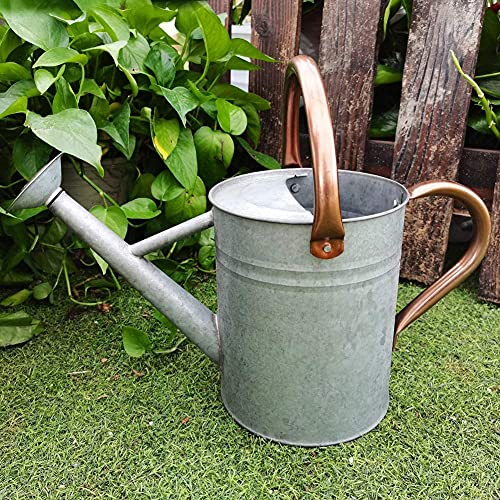 Metal Watering Can, One Gallon Watering Cans Stainless Steel Handle for Outdoor Indoor Garden Plants Watering (1 Gallon Silvers)