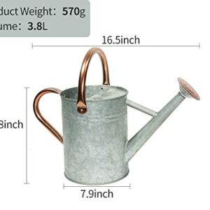 Metal Watering Can, One Gallon Watering Cans Stainless Steel Handle for Outdoor Indoor Garden Plants Watering (1 Gallon Silvers)