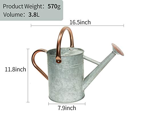 Metal Watering Can, One Gallon Watering Cans Stainless Steel Handle for Outdoor Indoor Garden Plants Watering (1 Gallon Silvers)