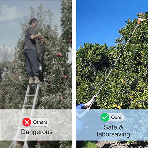 Walensee 8FT Fruit Picker, Adjustable Fruits Picker Tool with Lightweight Stainless Steel Pole and Big Basket, Fruit Catcher Equipment Tree Picker for Apples Mango Pear Orange Avocados Fruit Picking